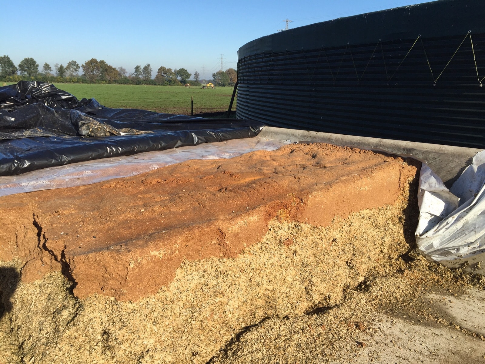 Maisbostel+ de booster van uw rantsoen! - Bonda